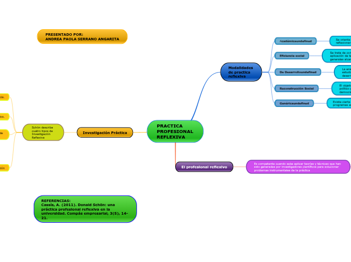 PRACTICA PROFESIONAL REFLEXIVA - Mind Map